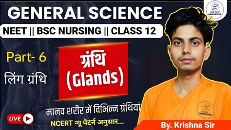 Endocrine System Sex Gland Testes And Ovary The Endocrine Gland