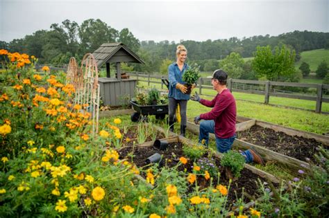 Best Soil For Gardens Garden Soil Basics For Any Planting Spot