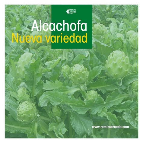 Robin Bartels Posted On Linkedin