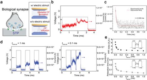 Organic Memristor‐based Flexible Neural Networks With Bio‐realistic