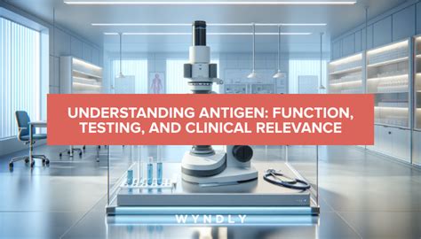 Antigen Function Understanding Testing And Clinical Relevance 2025 And Wyndly