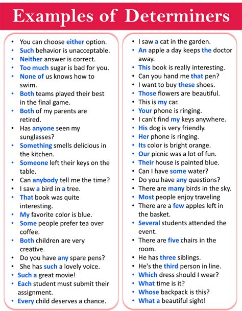 What Are Determiners Learn Their Types And Usage