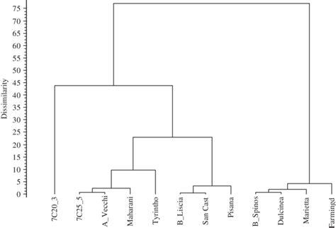 Dendrogram By Wards Method Resulting From Cluster Analysis Download Scientific Diagram