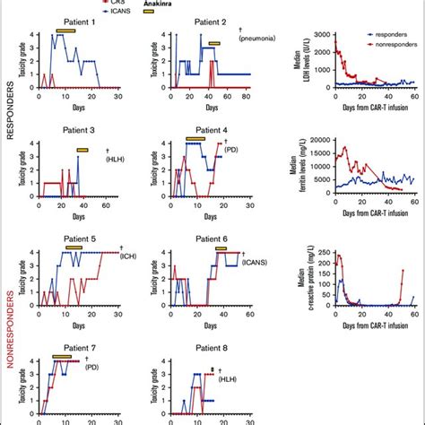 Trend Of Toxicity And Inflammatory Markers A The Toxicity Grade