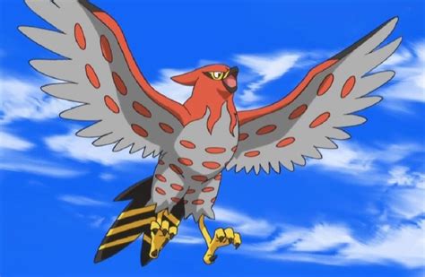 What Level Does Wingull Evolve And 9 Other Facts And Trivia You Didnt