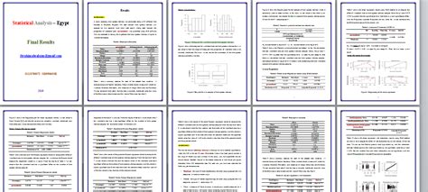 Statistical Analysis Egypt Giza Facebook