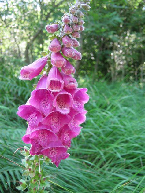 Una Mirada Al Entorno Dedalera