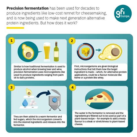 🧀how Can We Use The Power Of Microorganisms To Increase The