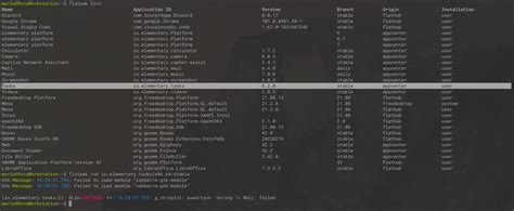 Tasks Version From Flatpak Doesnt Work · Issue 331 · Elementarytasks · Github
