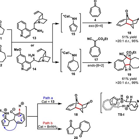 Early Examples Of 6 4 Cycloadditions Download Scientific Diagram