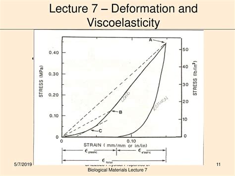 Lecture 7 Water Potential Ppt Download