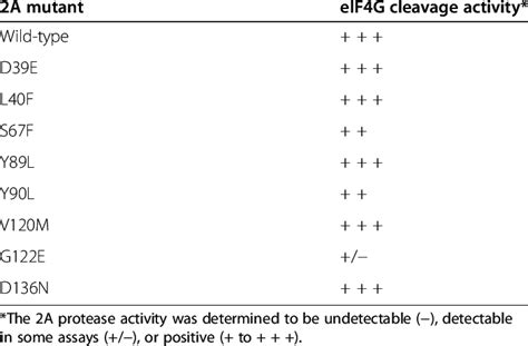 The Eif4g Cleavage Activity Obtained With Different Variants Of Cvb3 2a