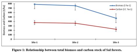 Tree Structure Analysis Biomass And Carbon Stock Of Sal Forests In