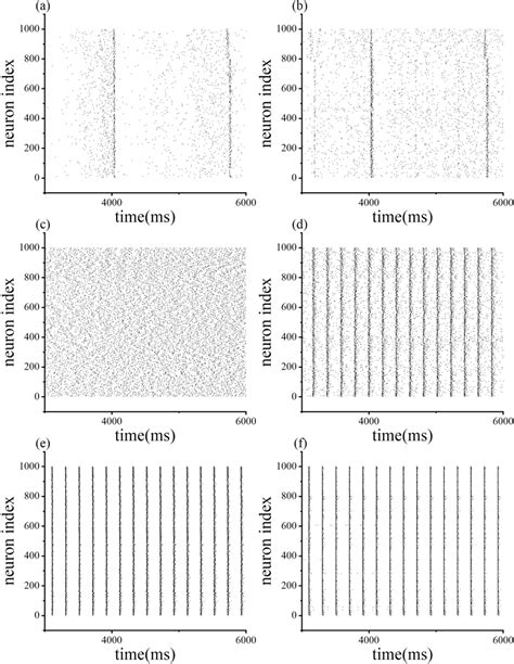 the raster maps of neuron discharge under the effect of stdp right