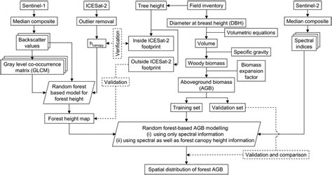 Methodology Adapted To Map The Spatial Distribution Of Forest Height