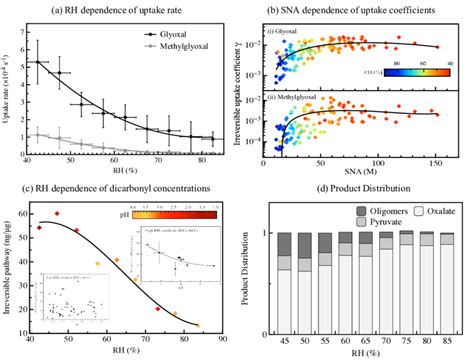 gas particle partitioning of dicarbonyls via irreversible pathways a