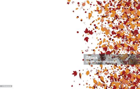 10월 벡터 배경 와 황금 떨어지는 나뭇잎 와 단풍 빨강 주황 노란 단풍을 가진 가을 그림 투명한 배경입니다 벡터 일러스트 레이 션 0명에 대한 스톡 벡터 아트 및 기타