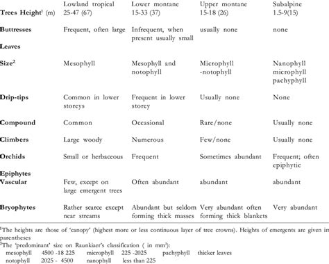 Structural And Physiognomic Characteristics Of Rainforest Formations On