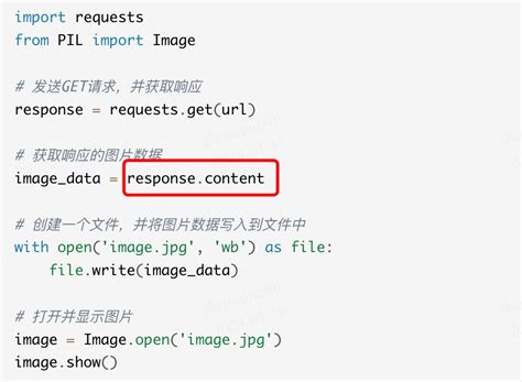 python request 请求接口获取返回的图片内容 小嘉欣 博客园