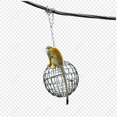 자연 벡터 이미지 사진 및 Png 일러스트 무료 다운로드 Lovepik