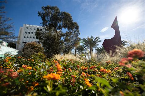 Servicenow Foundation Scholarship Check Request Form Going Live