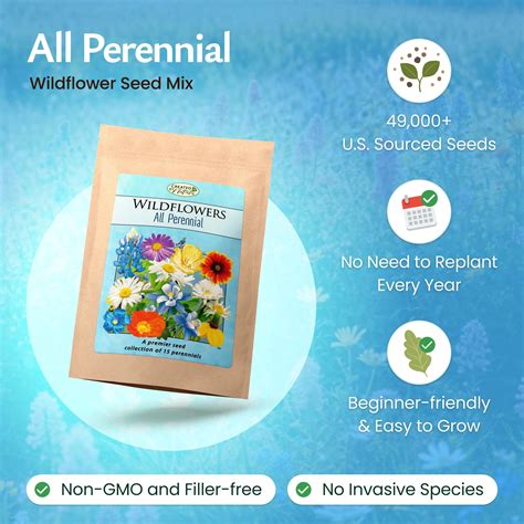 Wildflower Seeds And Mixes Created By Nature