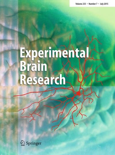 Reliance On Visual Attention During Visuomotor Adaptation An Ssvep