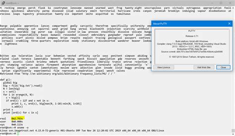Terminal Output Not Speed Enough · Issue 1064 · Microsoftterminal · Github