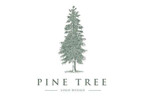 Hand Drawn Pine Tree Logo Design Graphic By Fransiska Sari · Creative Fabrica