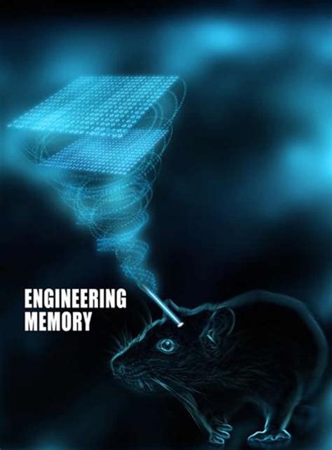 Shining A Light On Memory Neuroscience News
