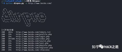一款功能强大的web目录扫描器专业版 知乎