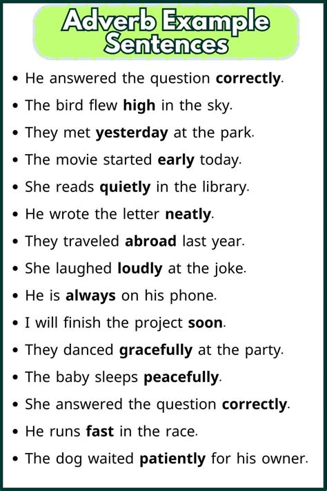 100 Adverb Example Sentence In English
