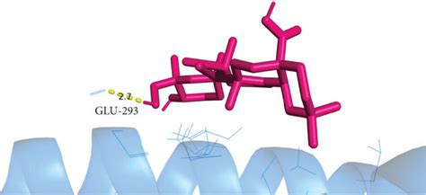 Visualization Of Protein Ligand Interaction Docking Results A The