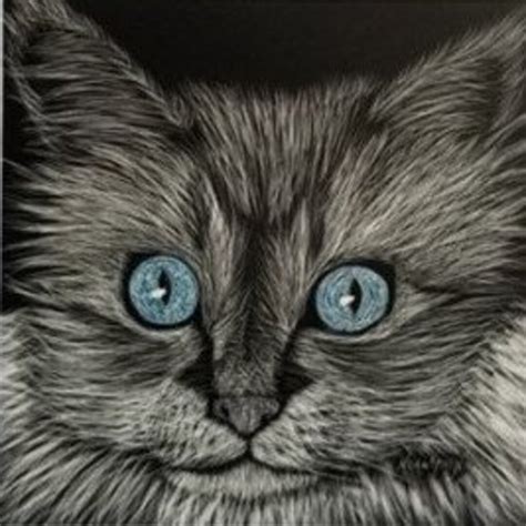Kitten Cat Feline Blue Eyes 5x5 Scratchart Etching Original Art