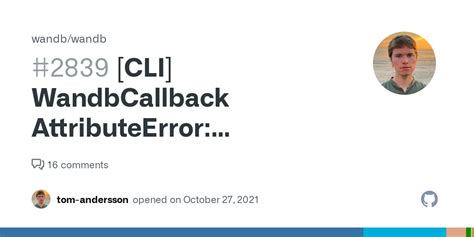 Cli Wandbcallback Attributeerror Nonetype Object Has No Attribute Item · Issue 2839