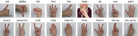 Figure 1 From Hand Gesture Recognition Using Densenet201 Mediapipe Hybrid Modelling Semantic