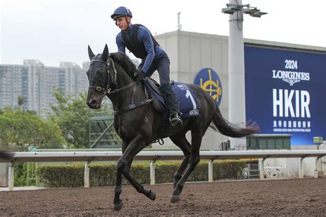 浪琴香港國際賽事週四晨操圖輯 賽馬新聞 香港賽馬會