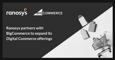 Ranosys Partners With Bigcommerce To Expand Ecommerce Services