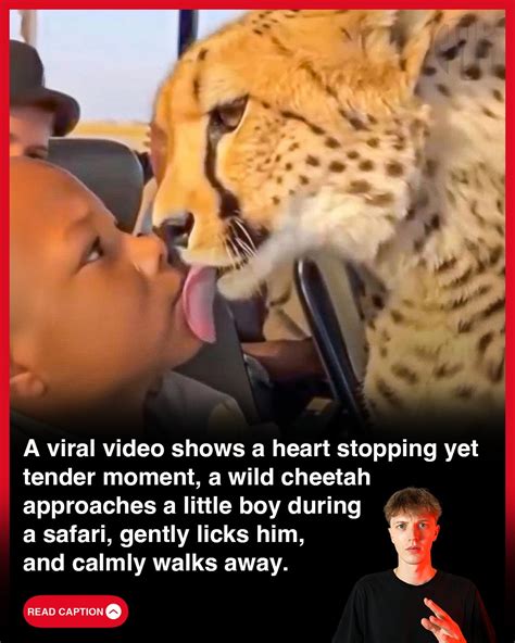 Top A Video Has Been Making Waves Online Showing A Heart Stopping Yet