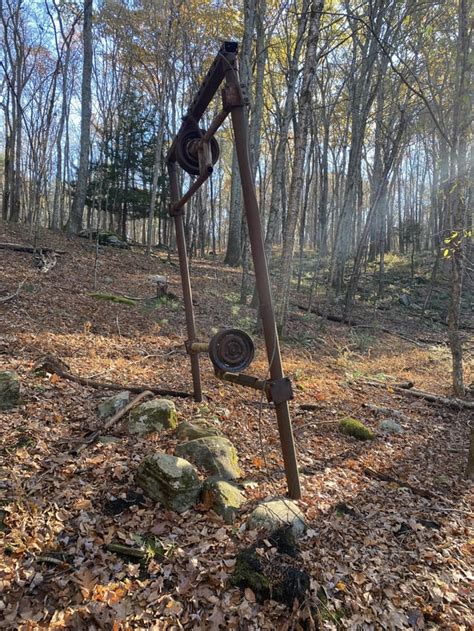 Does Anyone Know What This Is In The Uconn Forest Ruconn