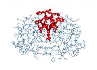 File Lw Png PyMOLWiki