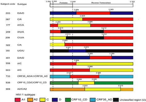 Schematic Representation Of Recombinant Viruses Detected In 12 Subjects