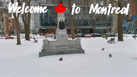 Welcome To Montréal 🍁 Youtube