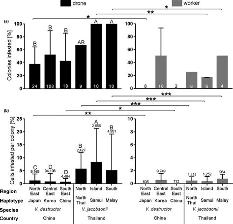 Infestation Rates Of Apis Cerana Drone And Worker Brood With Varroa