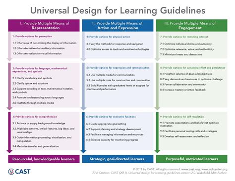 The 3 Udl Principles Developing A Global Udl Classroom