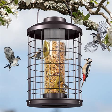 Buy Mosloly Caged Bird Feeders Metal 3 Lbs Squirrel Proof Wild Bird
