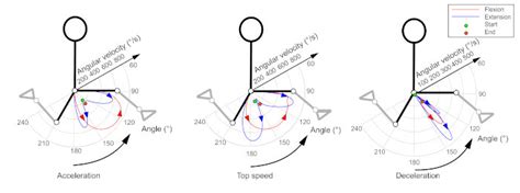 Polar Plot In Which Hip Joint Angle ° And Angular Velocities