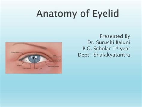 Anatomy Of Conjunctiva Types Layers Pptx Ppt