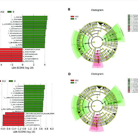 Linear Discriminative Analysis Lda Effect Size Lefse At The Genus Download Scientific