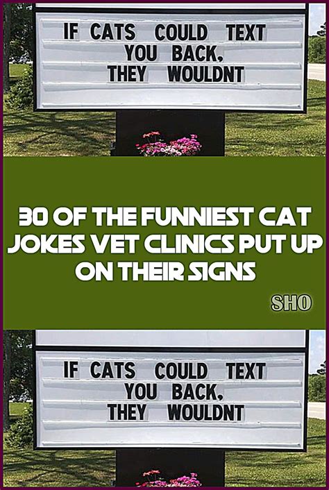 30 Of The Funniest Cat Jokes Vet Clinics Put Up On Their Signs Artofit